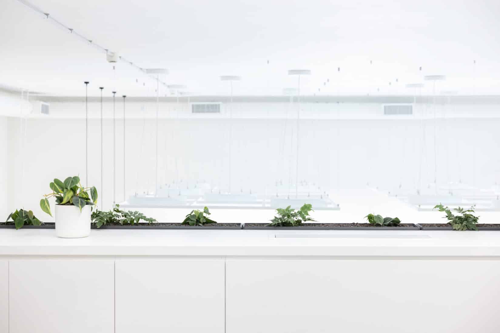 Modern office interior design: flexible and functional